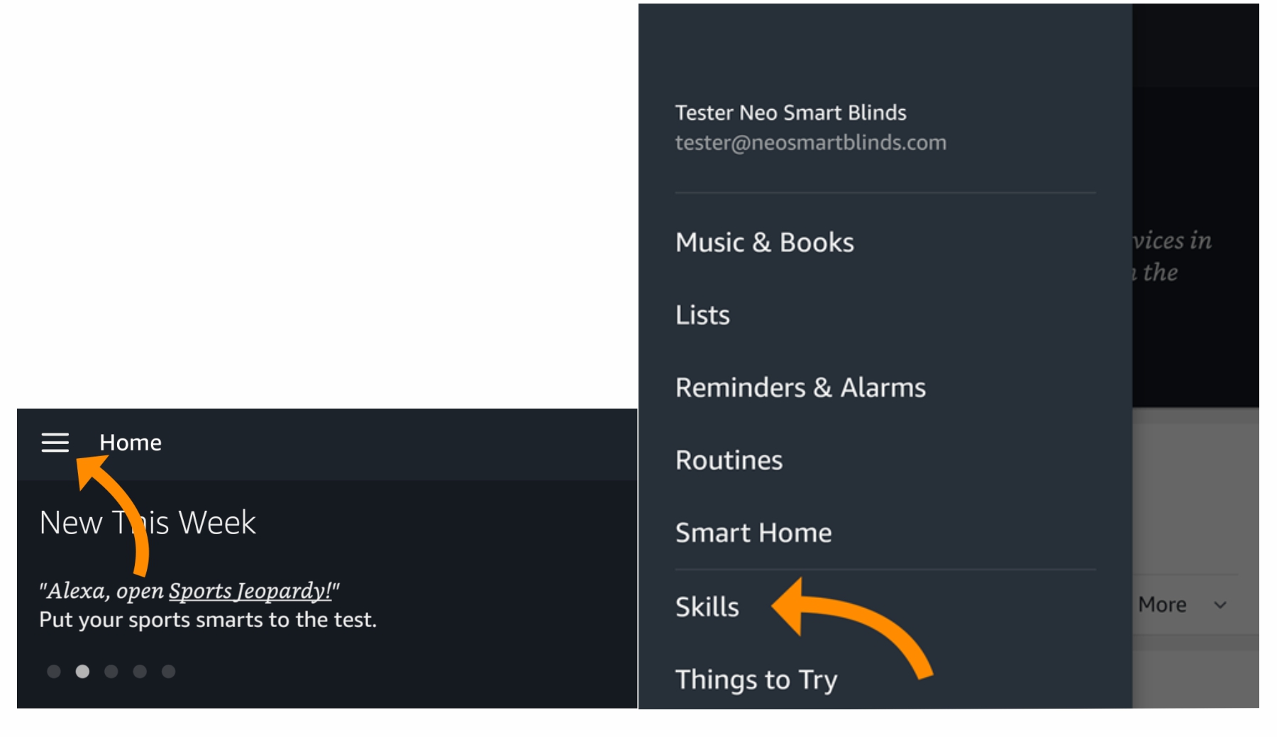 Connecting AlphaNeo Link Box to Alexa – Alpha Tubular Motors USA